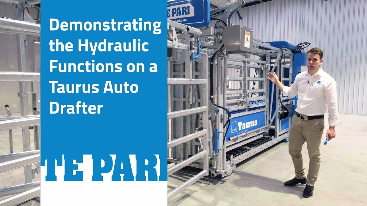 The Ultimate Hydraulic Cattle Chute | Taurus Auto Drafter Overview ...
