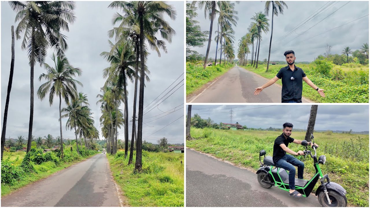 Parra Coconut Tree Road || Goa🌴 - YouTube