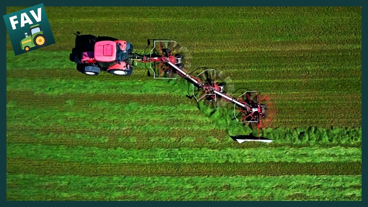 3 ROTOR RAKE | JF-STOLL R 2003 | raking silage [Spring 2020] - YouTube