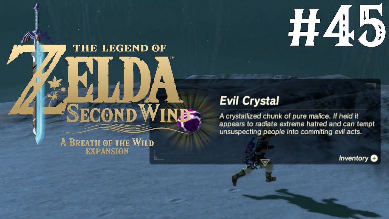 The Legend of Zelda: Second Wind #45: Skyward Sword Items in Breath of ...