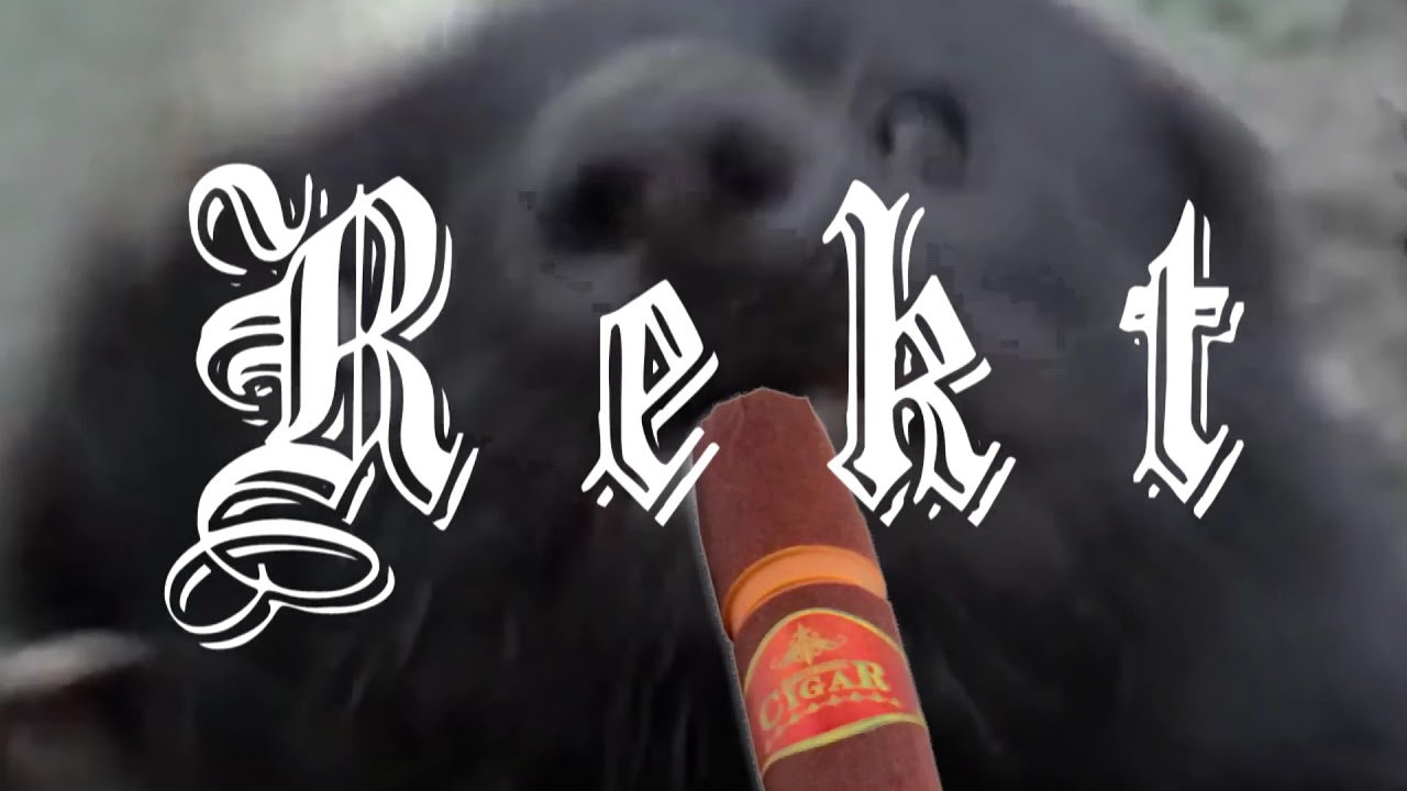 Stoffel the Badger - YouTube