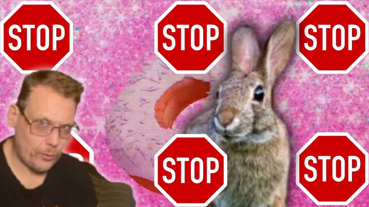 DECO*27 ft. Hatsune Miku: “Rabbit Hole” Reaction -WTF? STOP STOP STOP ...