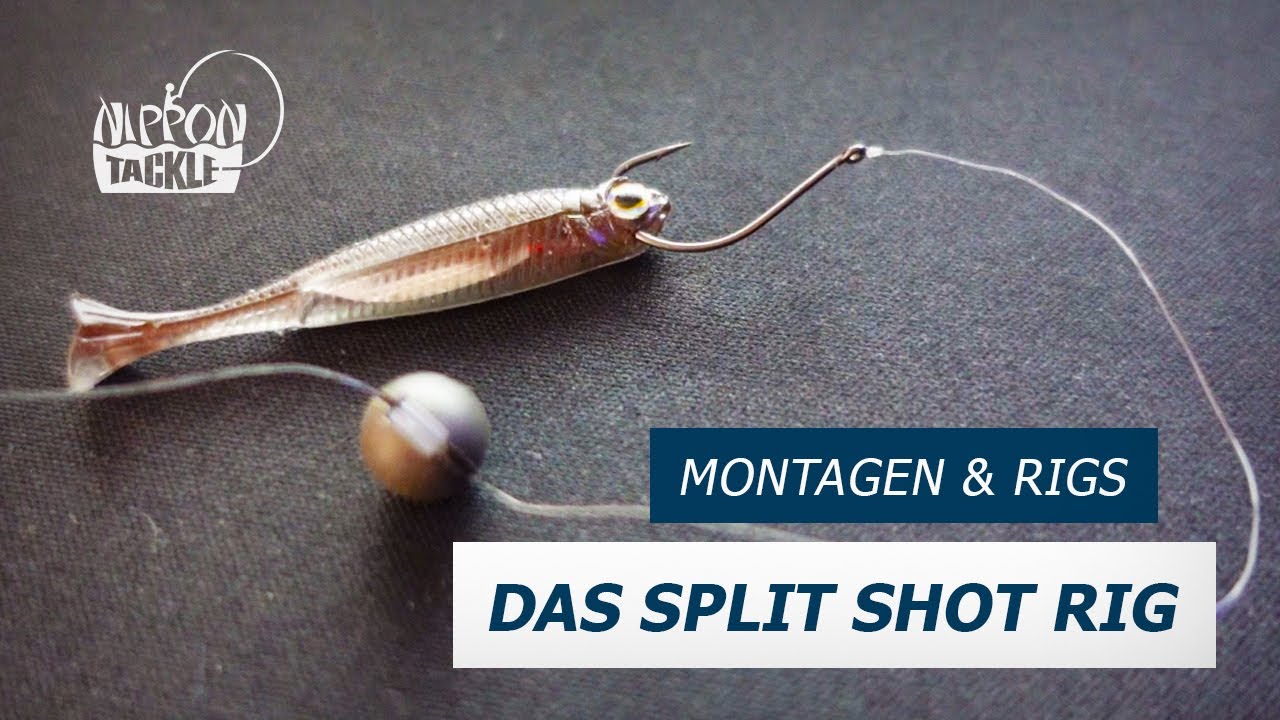 Das Split Shot Rig - Nippon Tackle Montagen & Rigs - YouTube