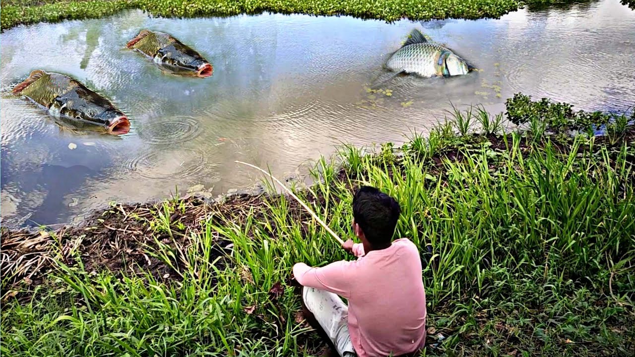 Amazing Daily Life Fishing | Top10 Video Of Fishing | Hook Fishing ...