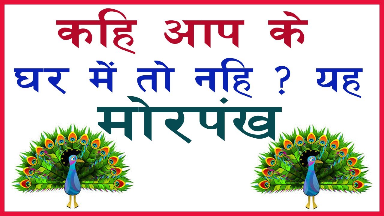 morpankh l morpankha according to vastu l ghar me kaun sa morpankh ...