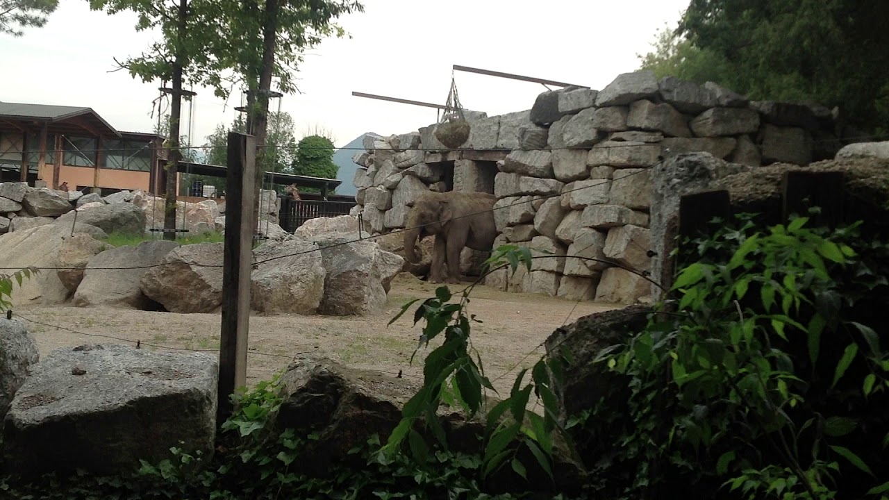 Parco delle Cornelle (zoo) - YouTube