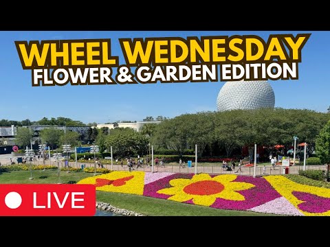 🔴 Live - Disney Wheel Wednesday Flower & Garden Edition - Walt Disney ...
