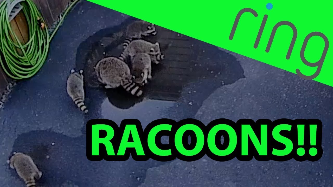 Weird Recordings Caught on Ring Security Cameras - YouTube