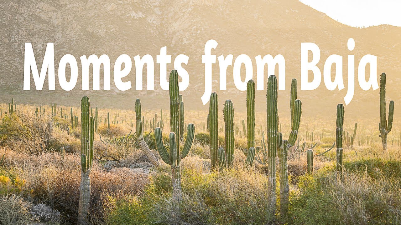 Moments from Baja | A visual journey through the rugged Baja California ...