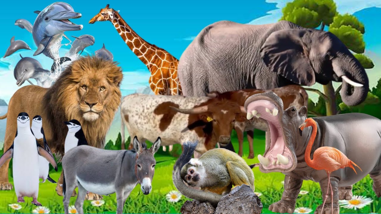 Cute little animals : lion, giraffe, flamingo, dolphin, donkey, cow ...