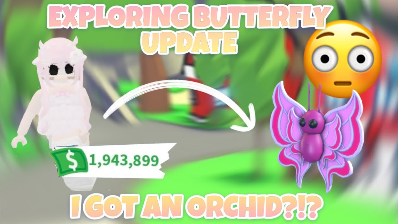 EXPLORING ADOPT ME BUTTERFLY SANCTUARY UPDATE! 🤩💕 // PixiePatch ROBLOX ...