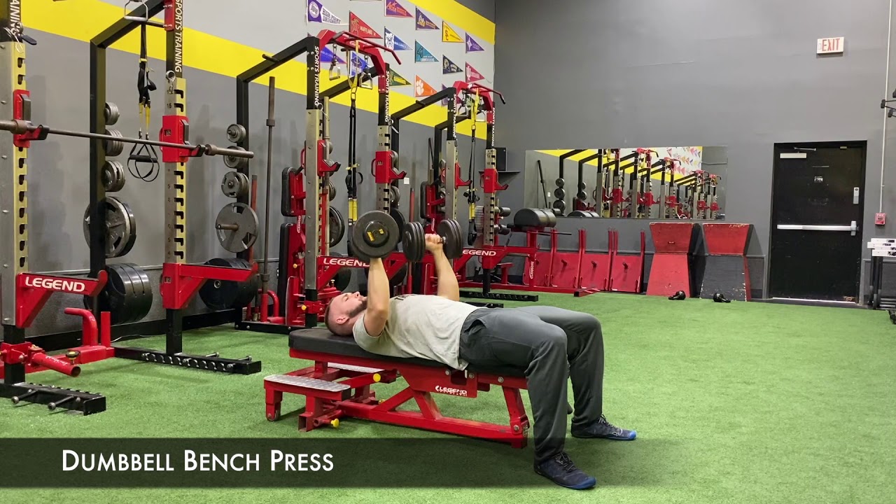 Dumbbell Bench Press - Exercise Demo - YouTube