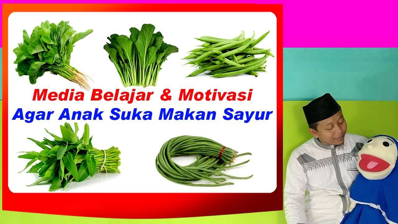 BELAJAR MENGENAL SAYURAN UNTUK ANAK - YouTube