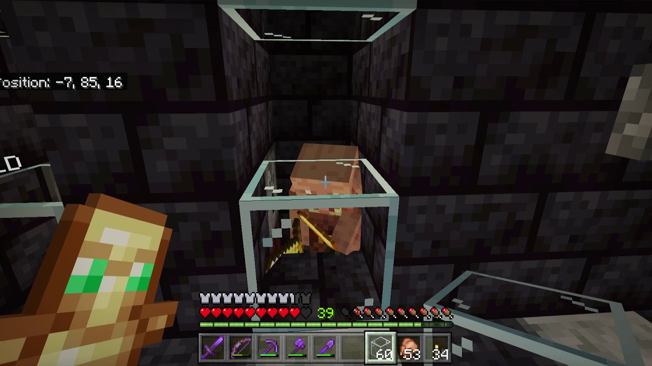Piglin trading gold feeder - YouTube