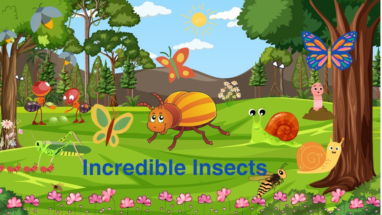 Incredible Insects Facts | Animal Sounds for Kids | Animals for Kids ...