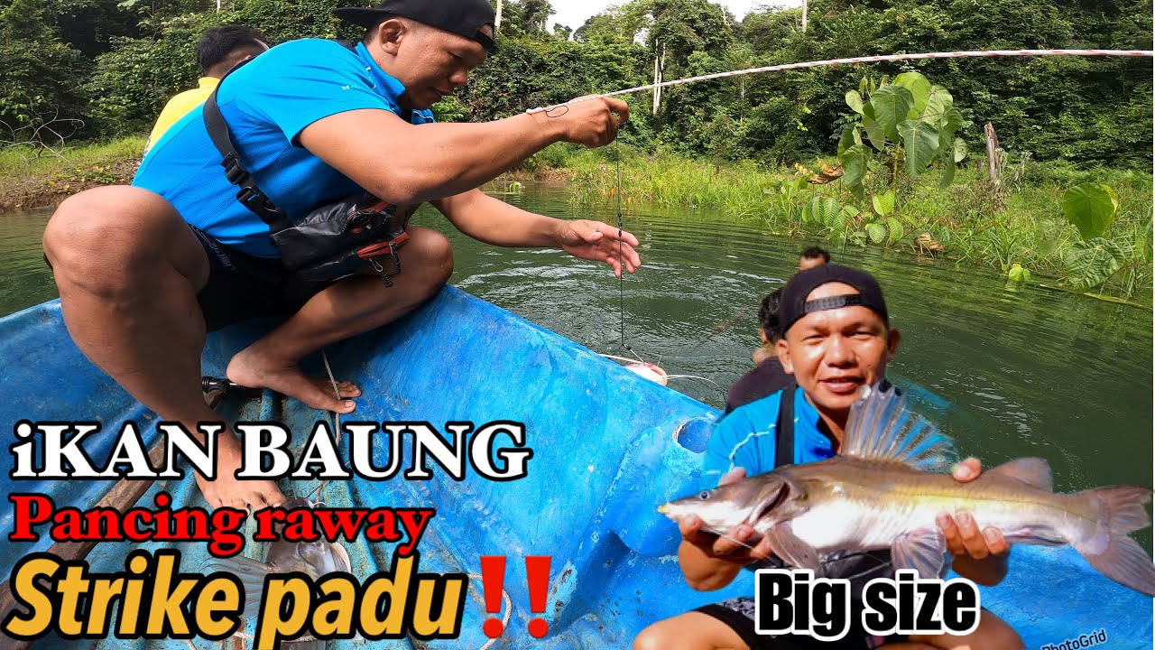 MELIHAT PANCING RAWAI di hulu sungai Bakun Dam dan mendapatkan ‼️IKaN ...