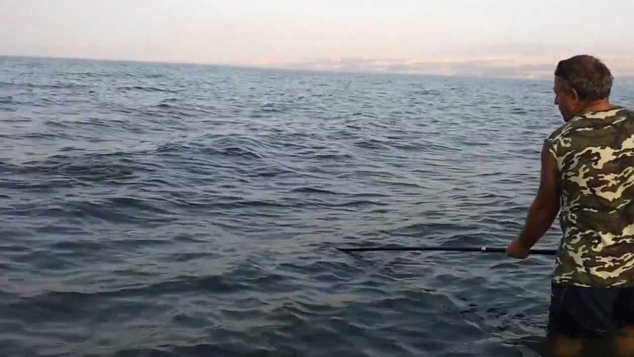 Рыбалка в Израиле. Fishing in Israel. - YouTube