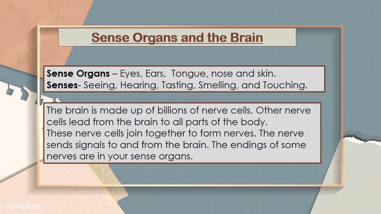 SCIENCE QUARTER 2, WEEK 1&2 - YouTube