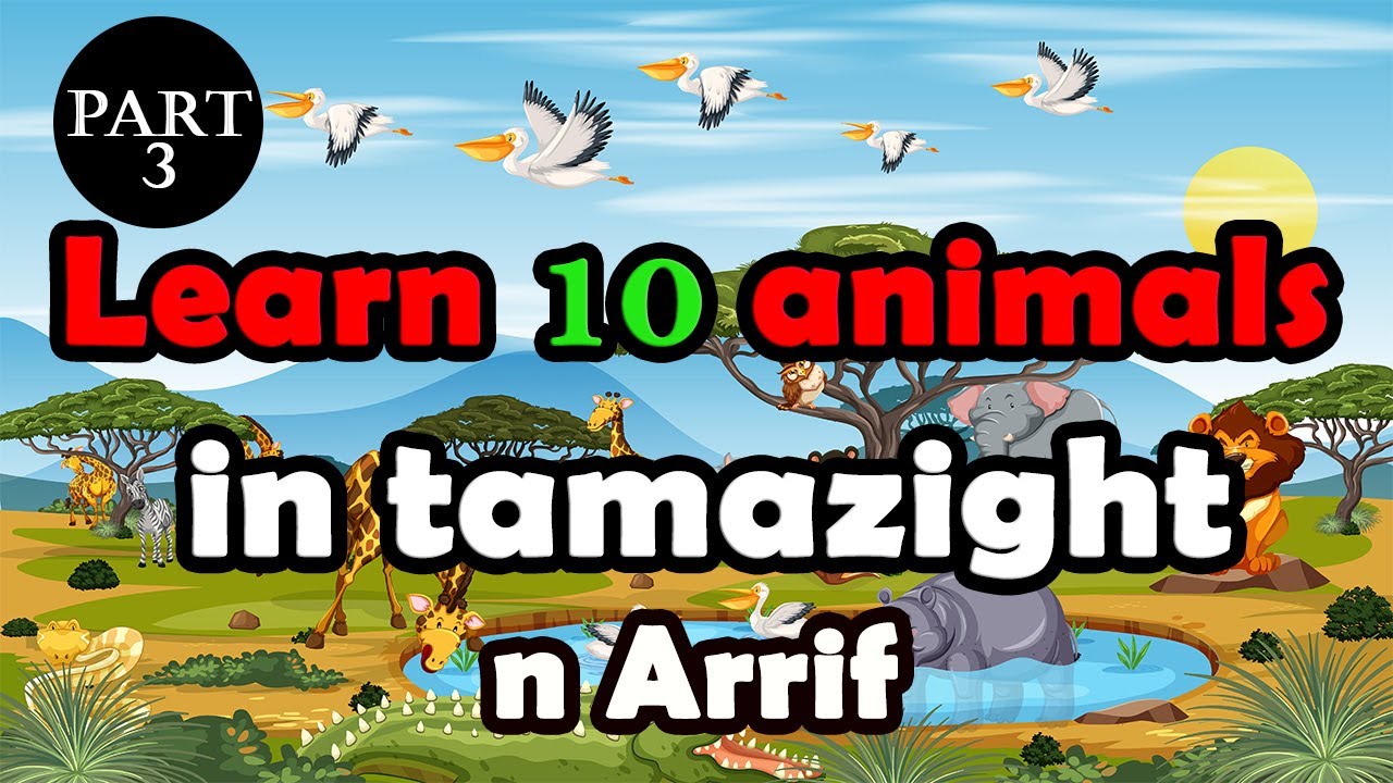 Les animaux en Tamazight - Rifain - YouTube