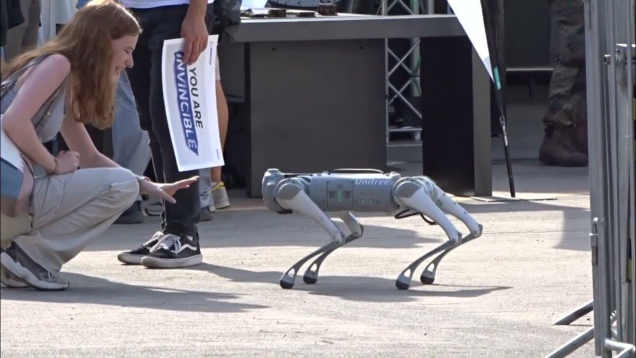 Unitree Go1 - Robot Dog attracts attention during the INVICTUS Games ...