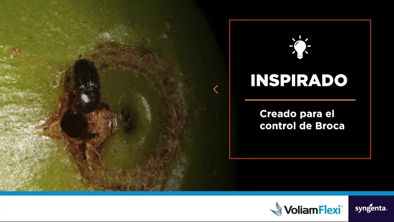 VOLIAN FLEXI - Recupera la sanidad de los cultivos de café - YouTube