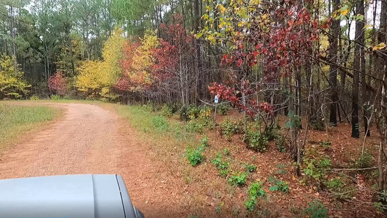 Dirt Road searching for late Autumn color//Unique color palette - YouTube