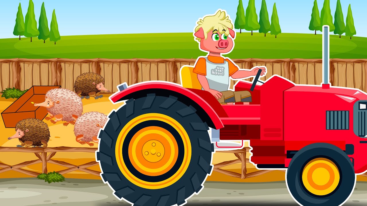 Hedgehog Farm - Tractor transporting food for hedgehog care | Farm ...