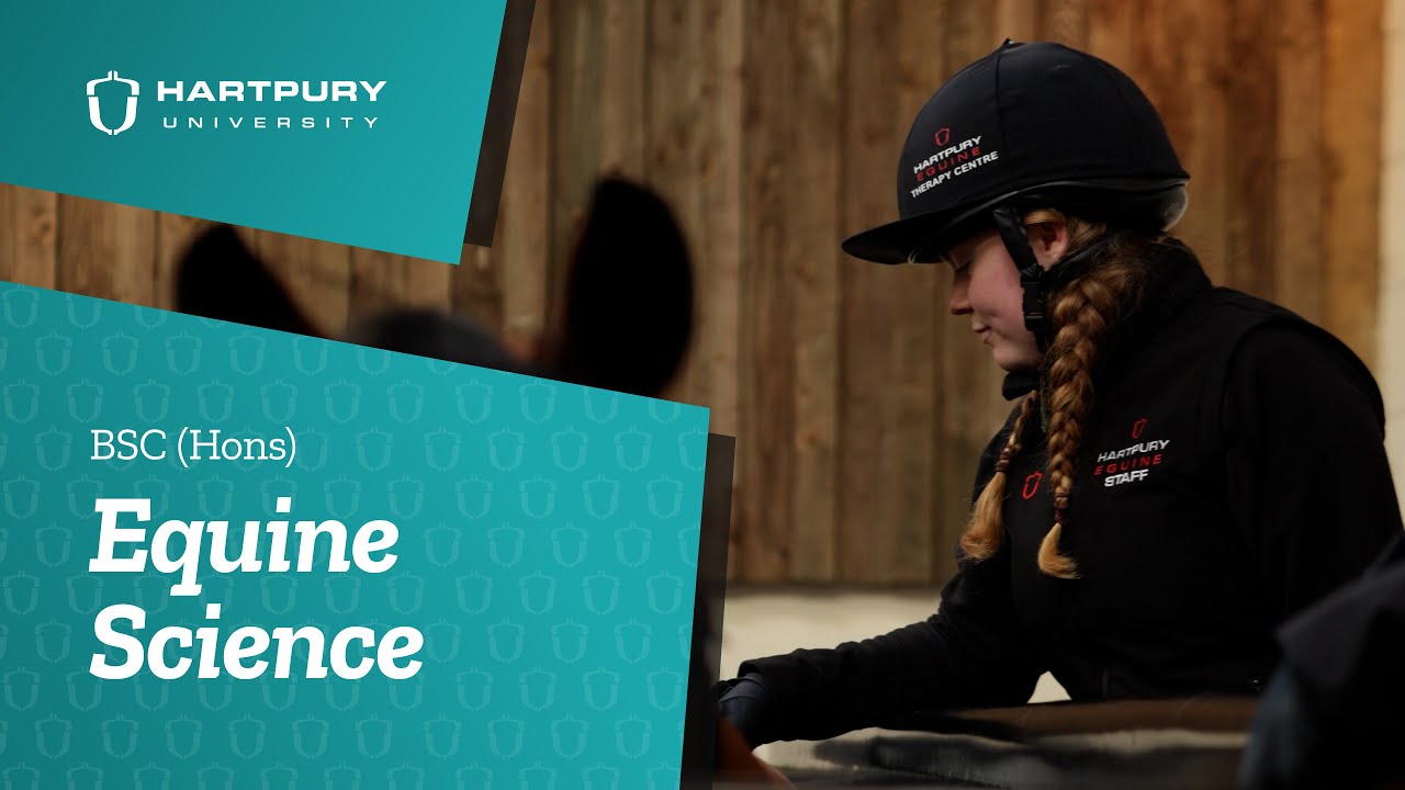 Study a BSc Equine Science degree | Hartpury University - YouTube
