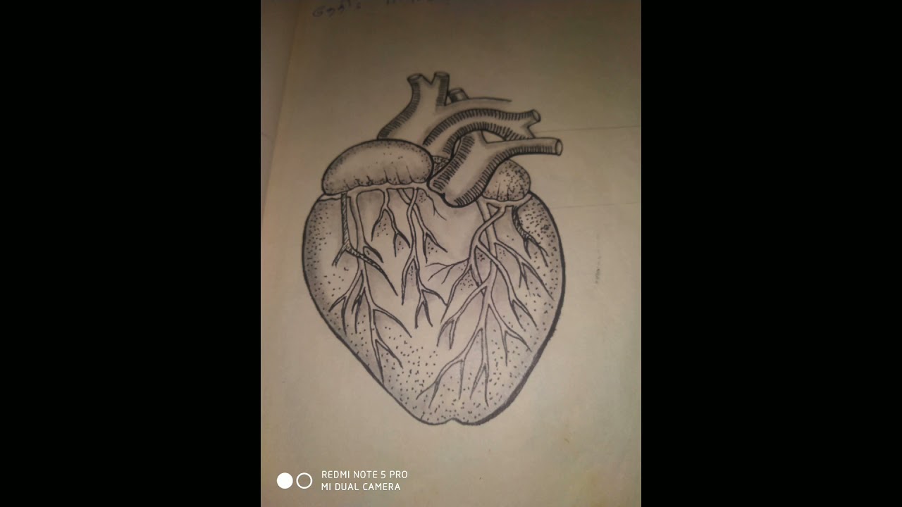 Pencil Arts by Suba Arts/Pencil drawing/Suba Arts - YouTube