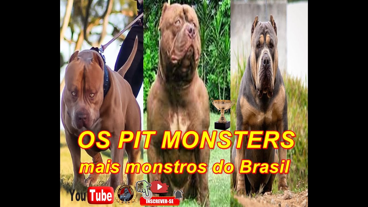 OS PIT MONSTERS MAIS MONSTROS DO BRASIL - YouTube