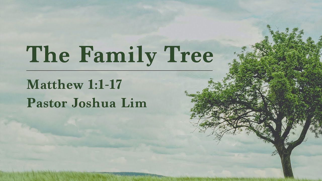 The Family Tree | Matthew 1:1-17 - YouTube