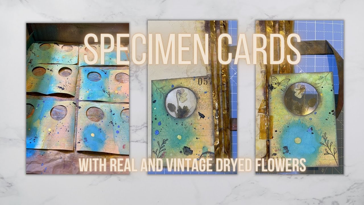 Specimen Cards ~ part 1 of 3 - YouTube