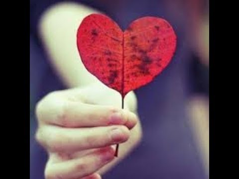 Yüce dağ değildim duman sardı başımı ( Koray Avcı Offical Video )