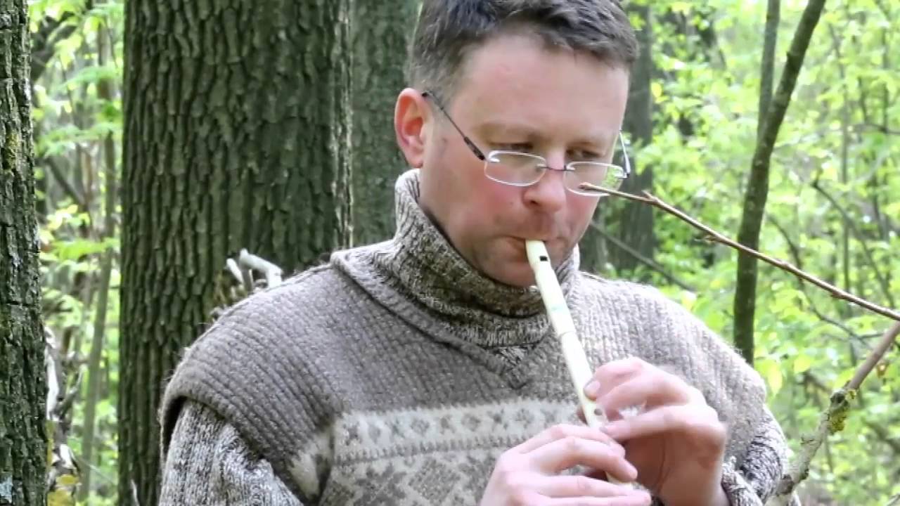 The Butterfly. Tin whistle in Spring forest. - YouTube