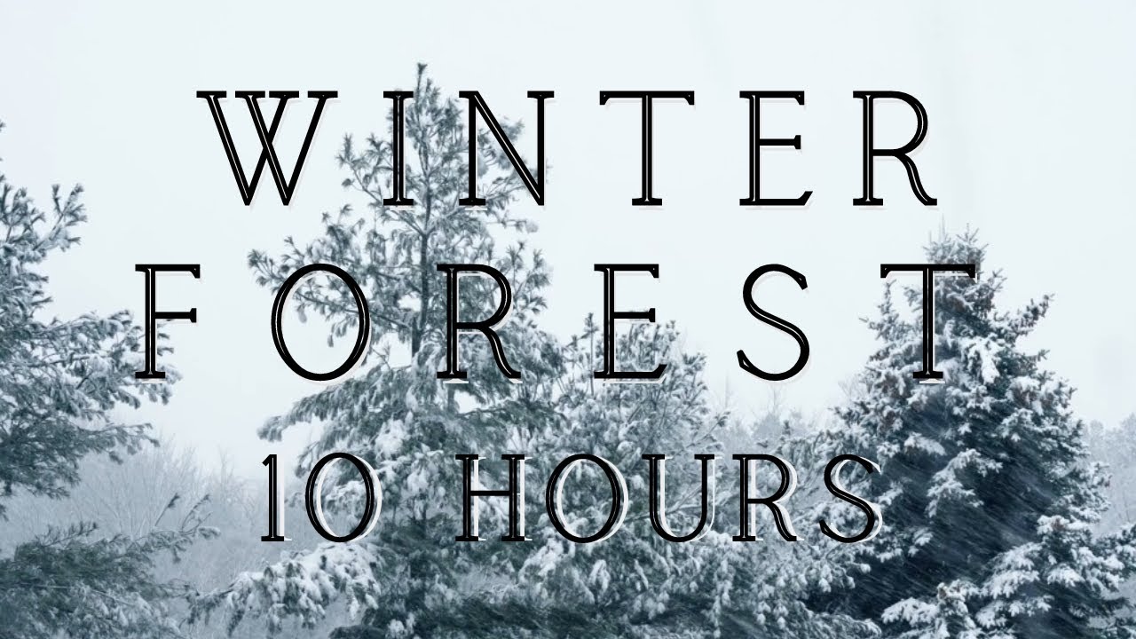 10 HOURS Snowstorm On The Pines | Winter In The Forest | Beautiful ...