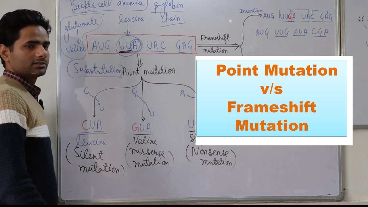 Point Mutation V/S Frameshift Mutation. Molecular basis of inheritance ...