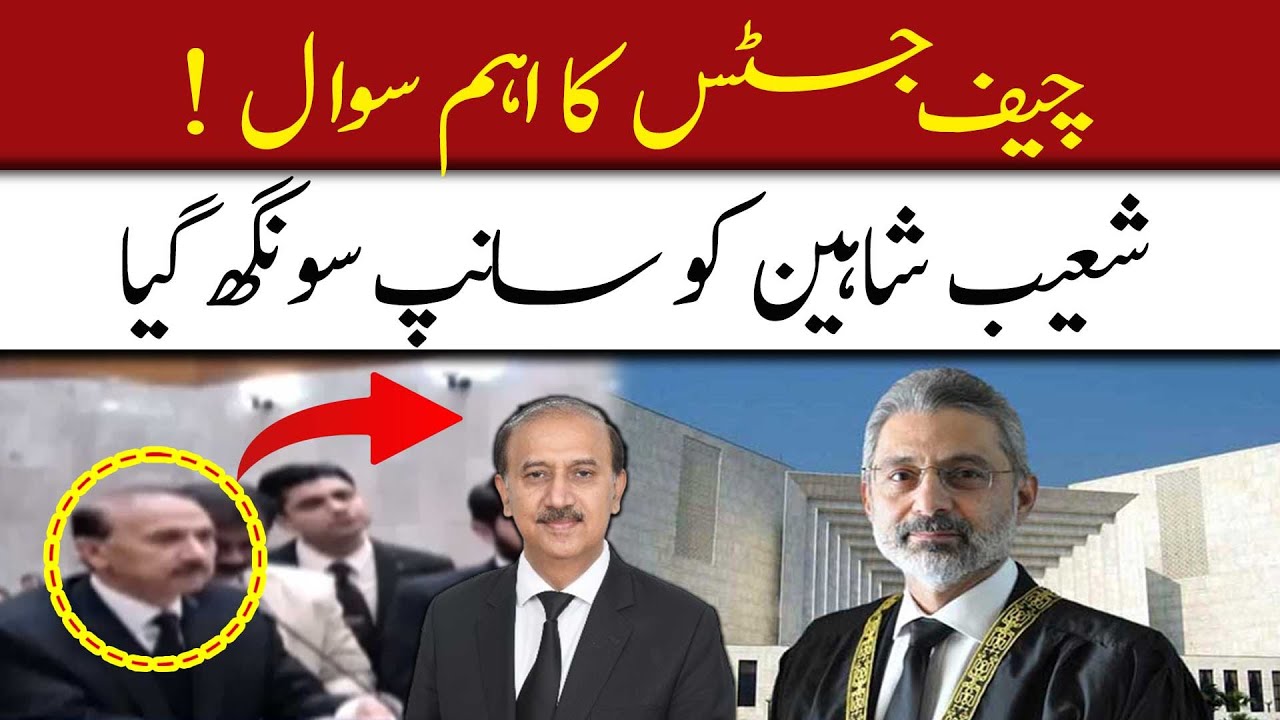 Shoaib Shaheen Surrender In Front Of Chief Justice Supreme Court PTI ...