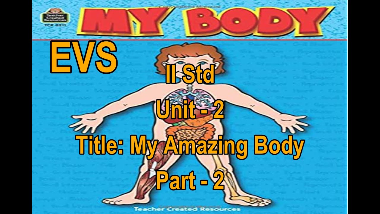 II Std Science - My Amazing Body (Part - 2) - YouTube