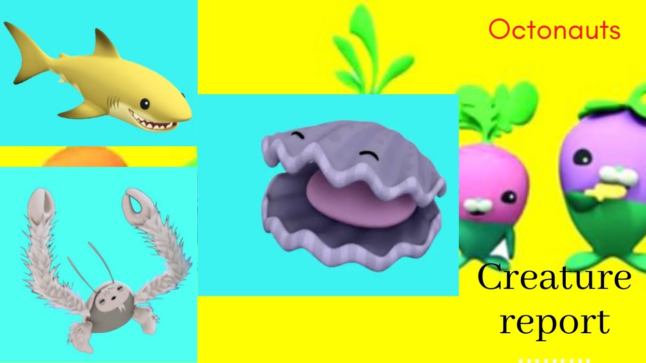 Octonauts Creatures | Creature Report | #creaturereport #octonauts # ...