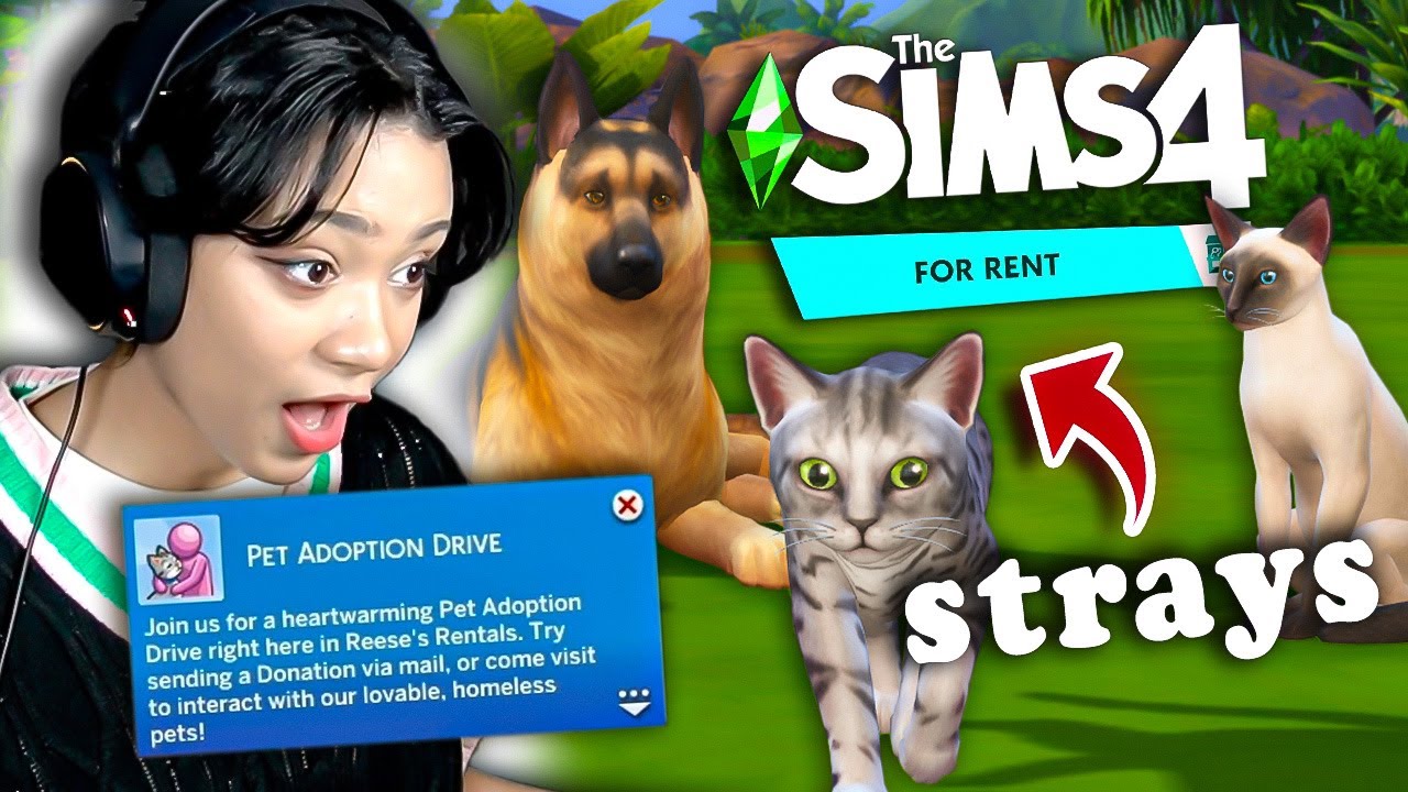 there's a PET APODPTION DRIVE?!?! || Sims 4 For Rent #2 - YouTube
