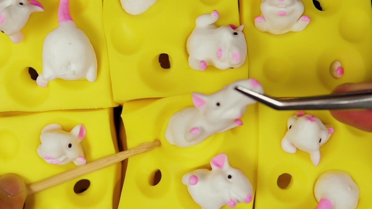 ASMR Plucking Mouse🐭🧀 Who moved my cheese? - YouTube