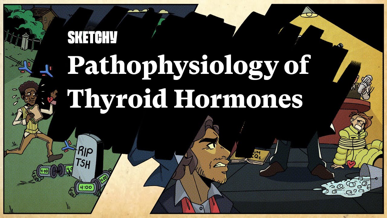 Thyroid Hormones: Hyper & Hypothyroidism (Part 1) | Sketchy Medical ...