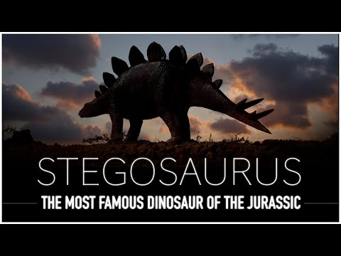 Stegosaurus: An Iconic Dinosaur of the Jurassic Period | Dinosaur Documentary