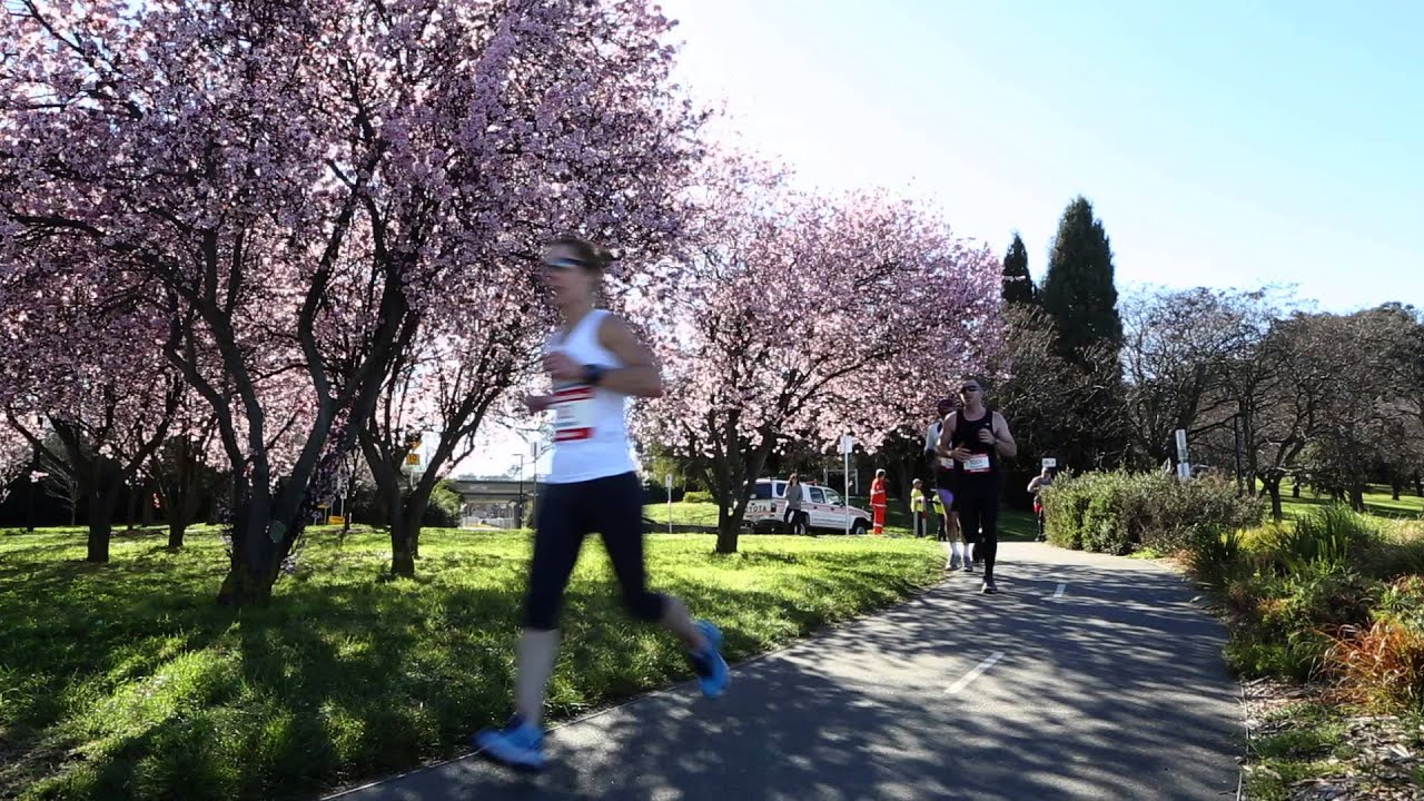Canberra Times Fun Run 2014 | September 7 - YouTube
