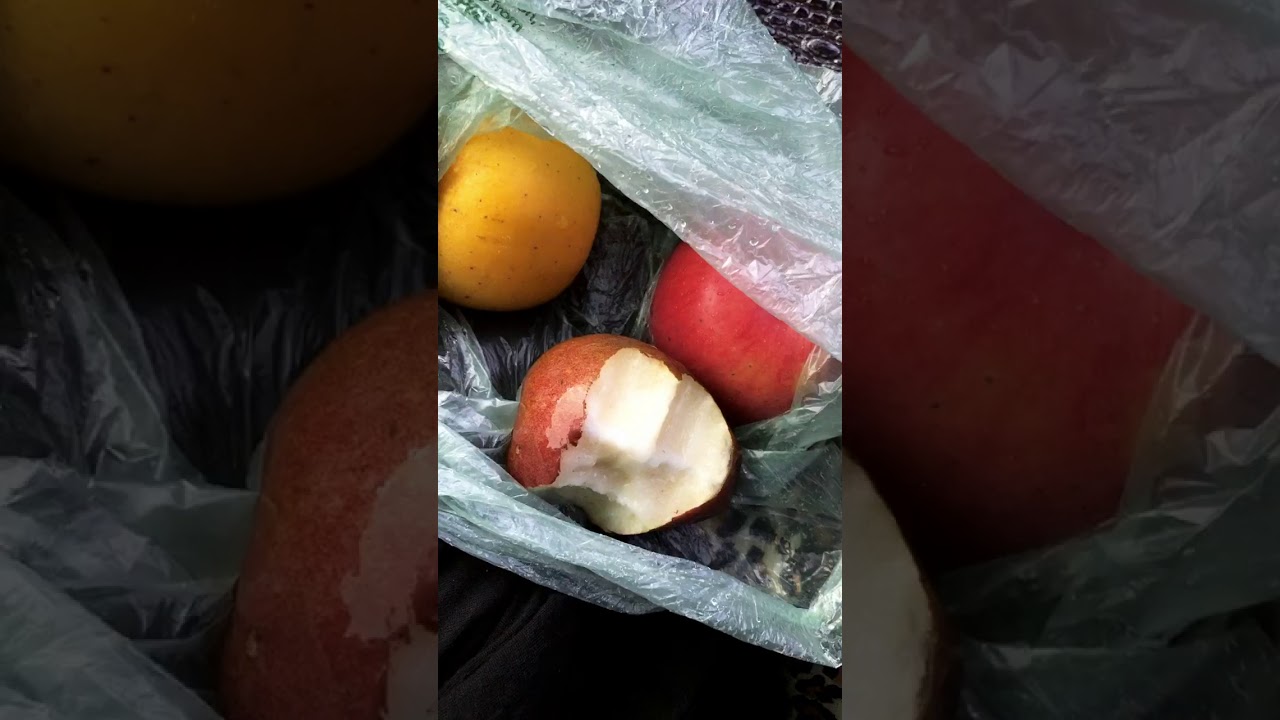 Rain and Fruit - YouTube