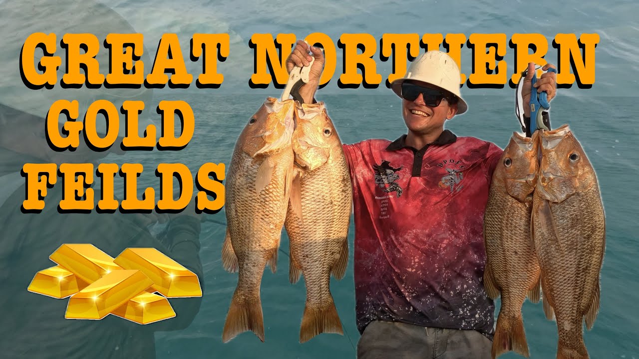 GAMBLING Storms for GOLDEN SNAPPER. NT Living. - YouTube