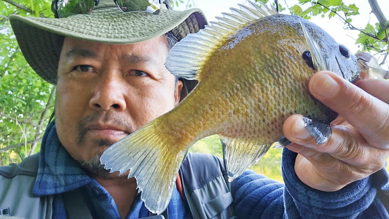 Spring Bream Fishing-Bluegills, Crappy, And Catfish From The Bank ...