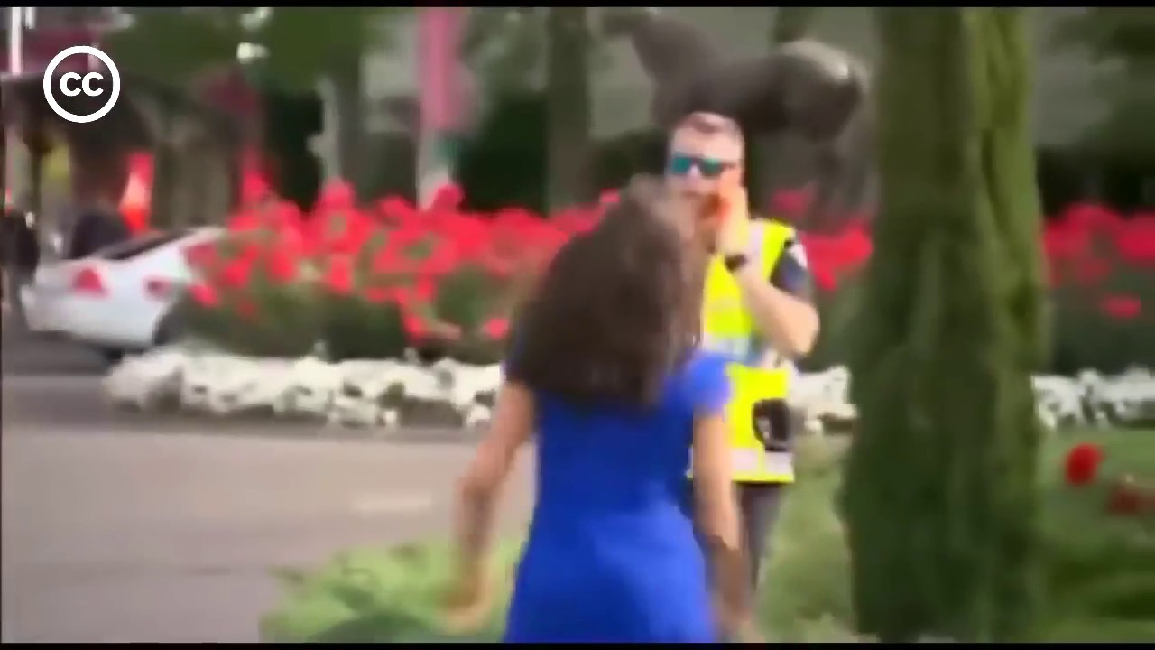 SAVAGE FIGHTS COMPILATION 2017 WORLDSTARHIPHOP FIGHT COMPILATION HOOD ...