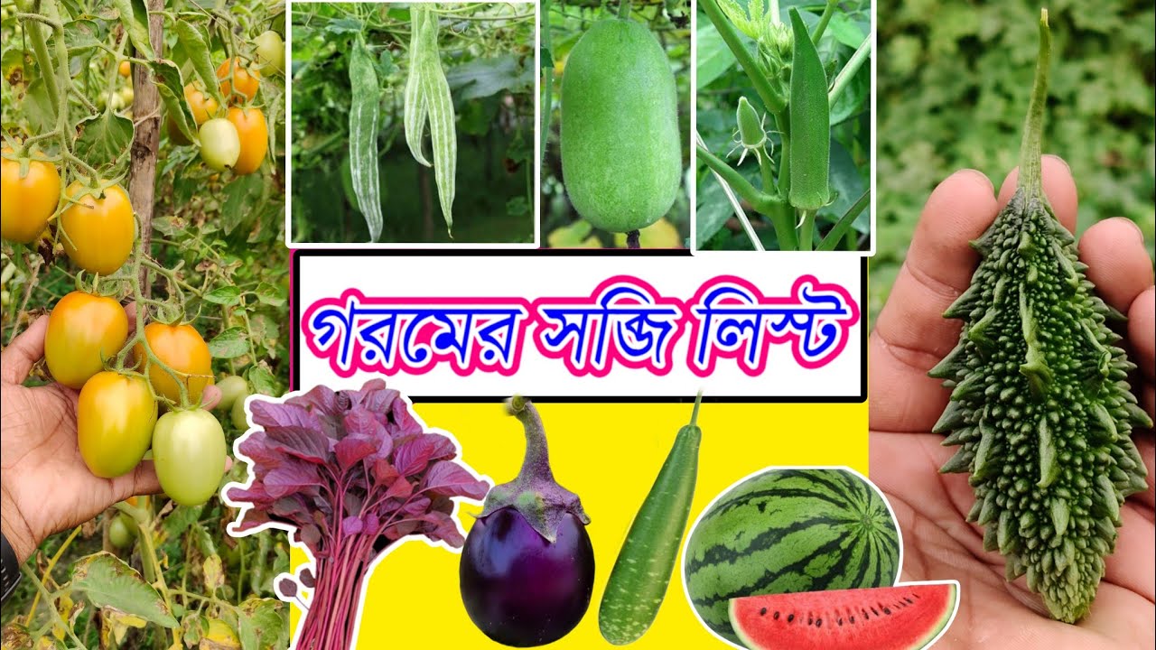 গরমে সবচেয়ে লাভজনক সব্জি কোনগুলি?ফাল্গুন চৈত্র সবজি ডায়েরি ।gorom ...