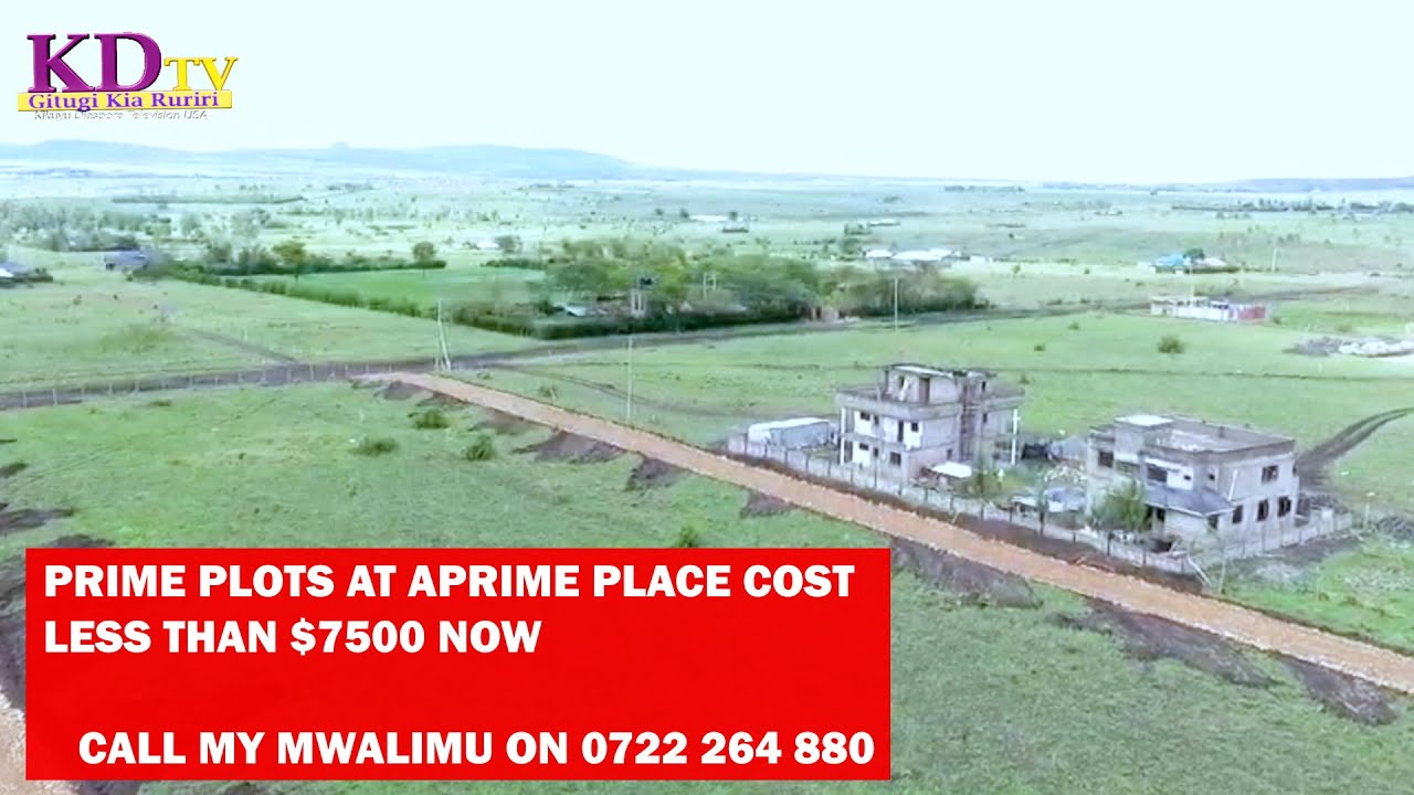 PRIME PROJECT AT APRIME PLACE TAKE ADVANTAGE OF THE NEWEST DIASPORA ...